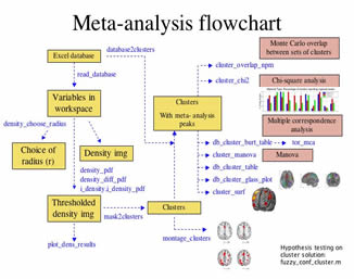 Columbia University Cognitive and Affective Control Lab